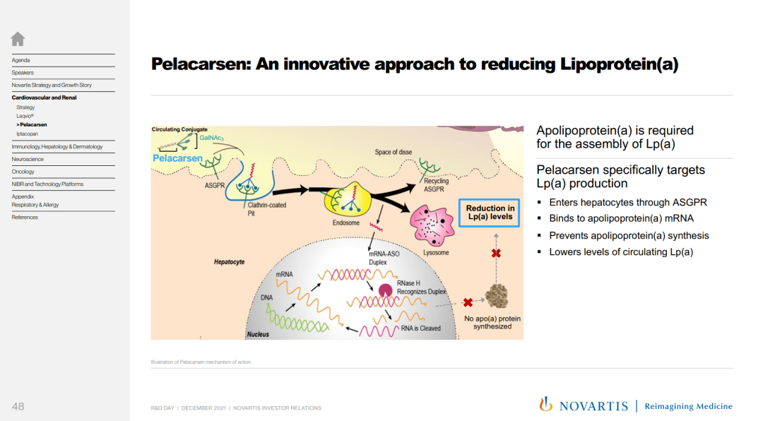 诺华 2021 研发日，最全管线披露（附下载）_临床_适应症_Insight