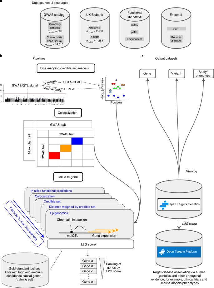 Nature子刊发布新型分析框架Open Targets Genetics，助力揭示GWAS性状相关基因-疾病-表型关联_研究_数据_Targets