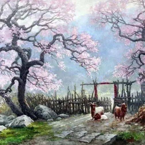 无法重来的一生 (建议收藏)生活花未中心