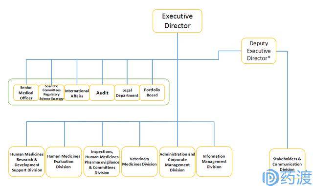 简述：欧洲药品管理局EMA_药物_欧盟_工作