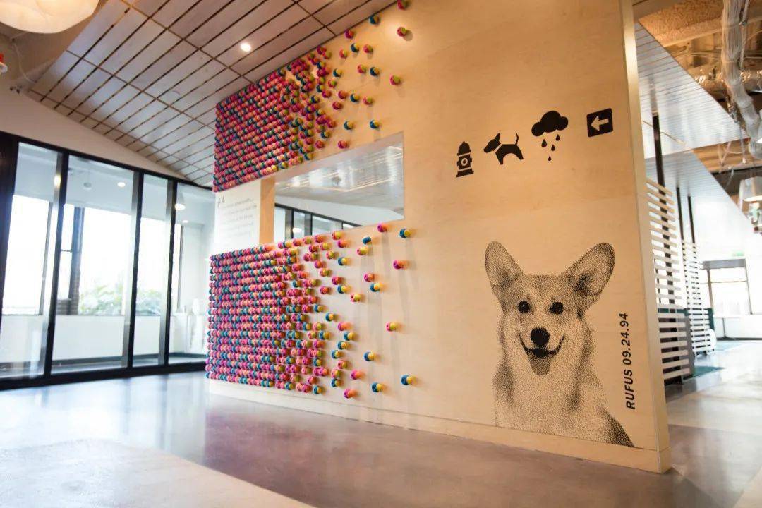 Dogs of Amazon｜“主人，我来陪你上班啦！”_Rufus_亚马逊_狗狗