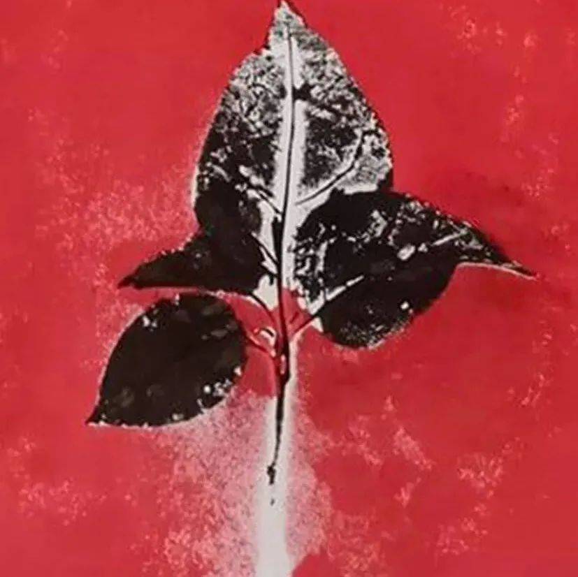 莱佛士视觉设计线上展，等你来！_展览_Tin_Wan