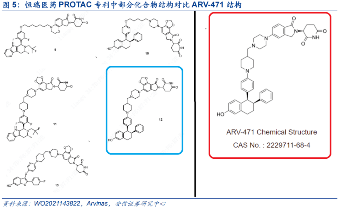 百济神州 PROTAC 新药今日获批临床！国内恒瑞、信达、海思科等多家企业在研_蛋白_项目_细胞