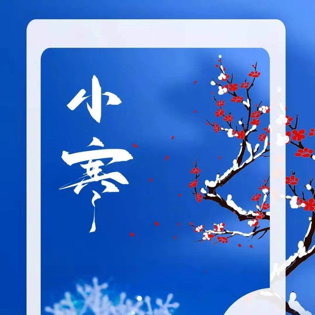 今日,小寒甘肃莫怪严任振鹤