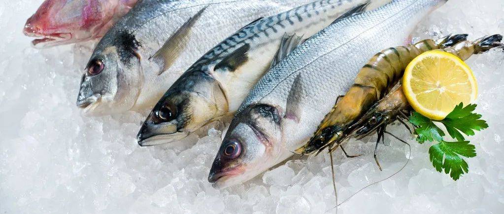 老外说“I eat no fish”可不是“我不吃鱼”，真正的意思差远了！_She_about_He's