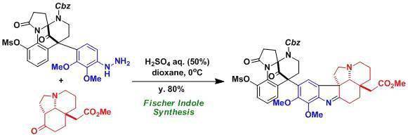 Fischer吲哚合成反应_was_of_Chem