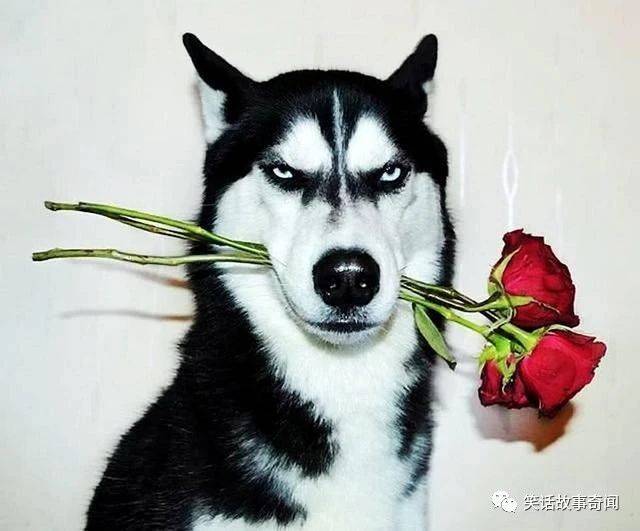 【考验人的幽默段子】给我剪个能找到女朋友的发型！_曾子_老妈_儿子