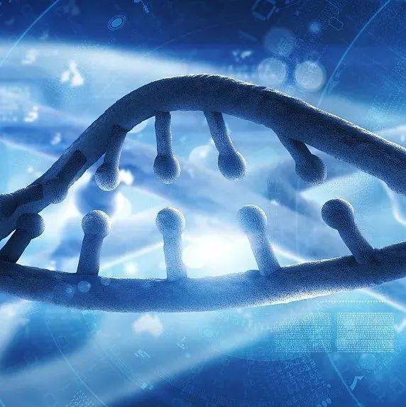 意想不到：CRISPR基因编辑会导致可遗传的基因组结构突变_CRISPR-Cas_研究_进行