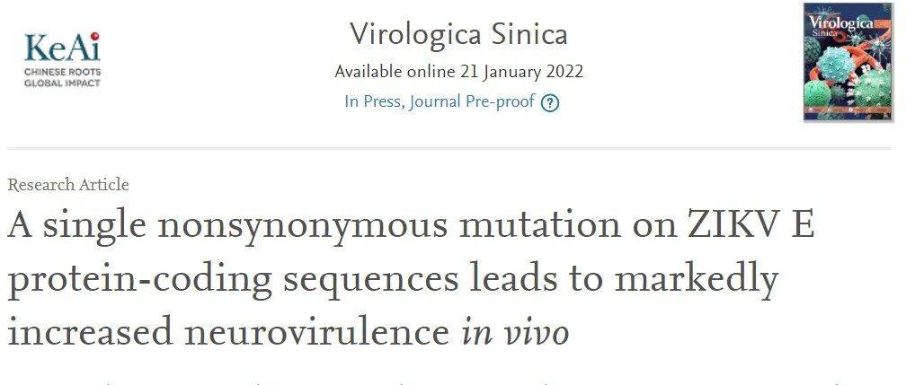 Virologica Sinica|新研究揭示寨卡病毒E蛋白编码序列突变导致神经毒性显著增加_细胞_上海_临床中心