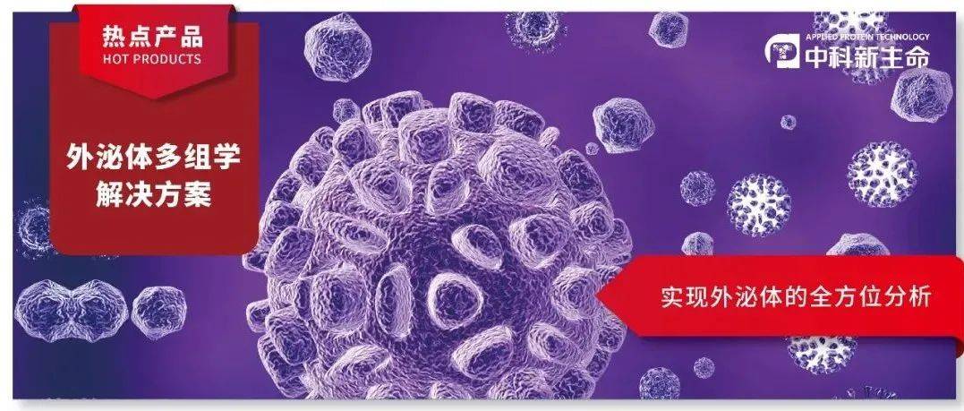 Gut（IF 23.059）| 癌细胞的密探007！胰腺癌细胞外泌体构建信号网络促进肿瘤进展_研究_Network_通讯