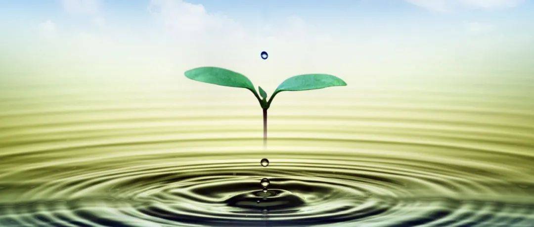 VESPER研究：膀胱癌化疗的“新”标准_ddMVAC_患者_治疗