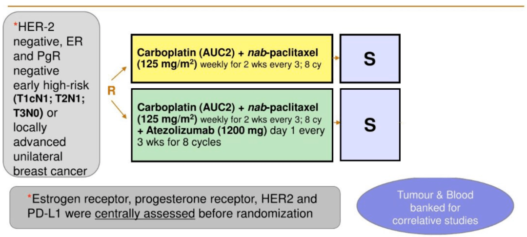乳线新语丨NeoTRIP研究：不以pCR论英雄，EFS才是“新”之所向？_治疗_化疗_患者