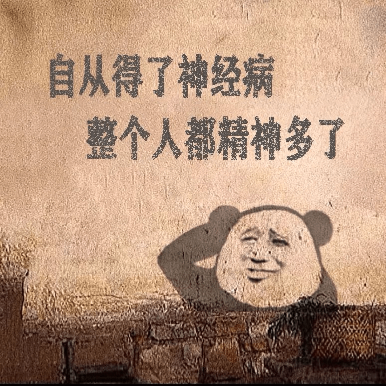 自从得了精神病,整个人都精神多了熊猫头表情老婆