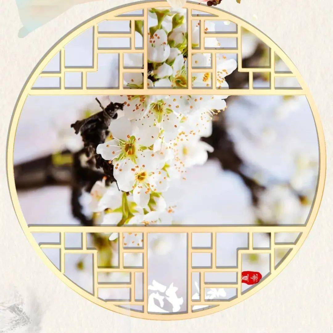 收藏！这份《2022宁夏声色地图》，等你解锁！_旅游_时刻表_家门口