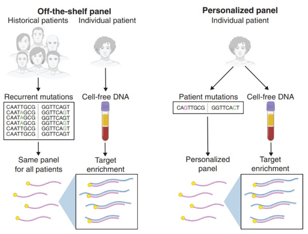 深度分享 | 国内NGS-MRD检测技术流派之争：个体化Panel or 固定化Panel？_患者_肿瘤_进行