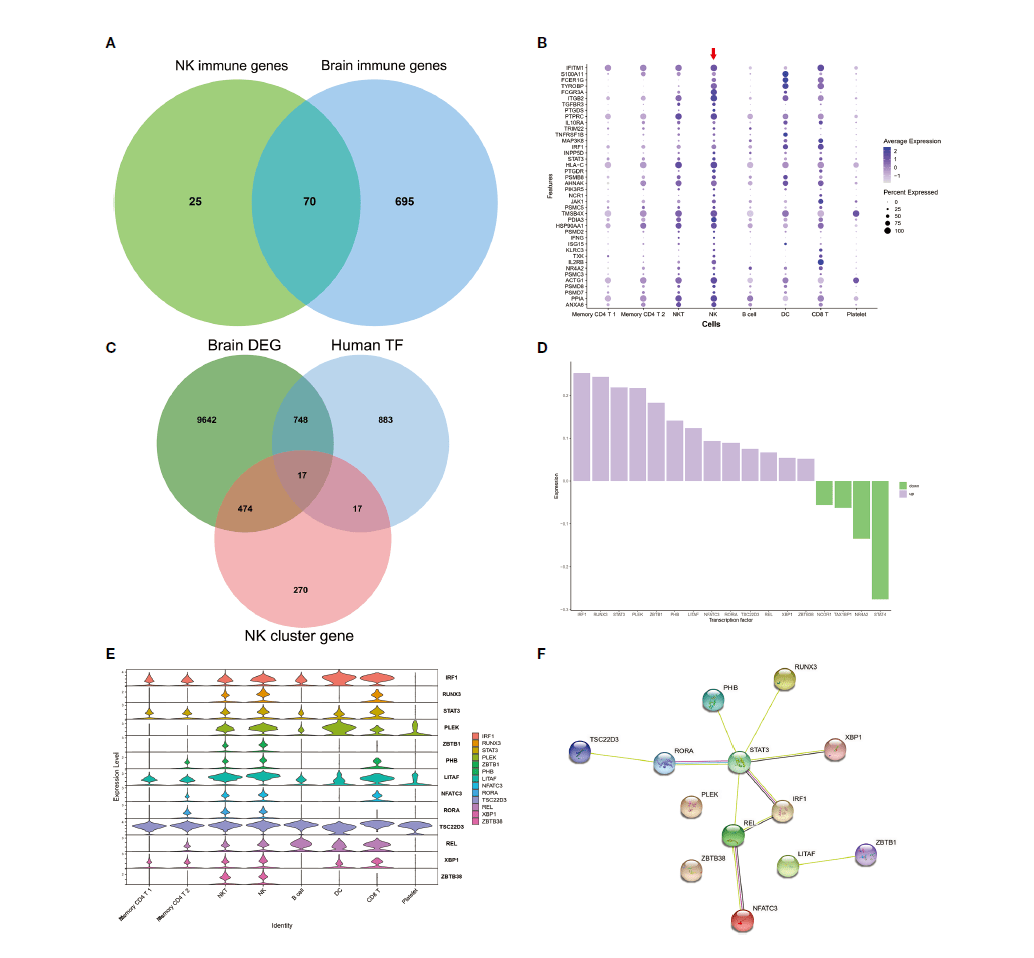 非肿瘤之scRNA-seq和bulk RNA结合思路_细胞_研究_Bulk