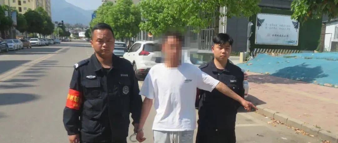 拉车门 碰运气”盗窃车内财物?抓!会东县市公安局停车场