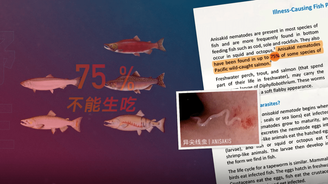 一口三文鱼，会吃进多少寄生虫_养殖_鲑鱼_大西洋