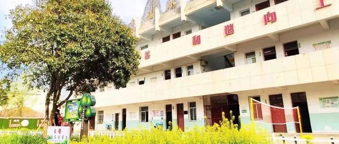 投资过亿元！东西湖这所小学扩建项目建设新进展！_武汉市_内容_包括