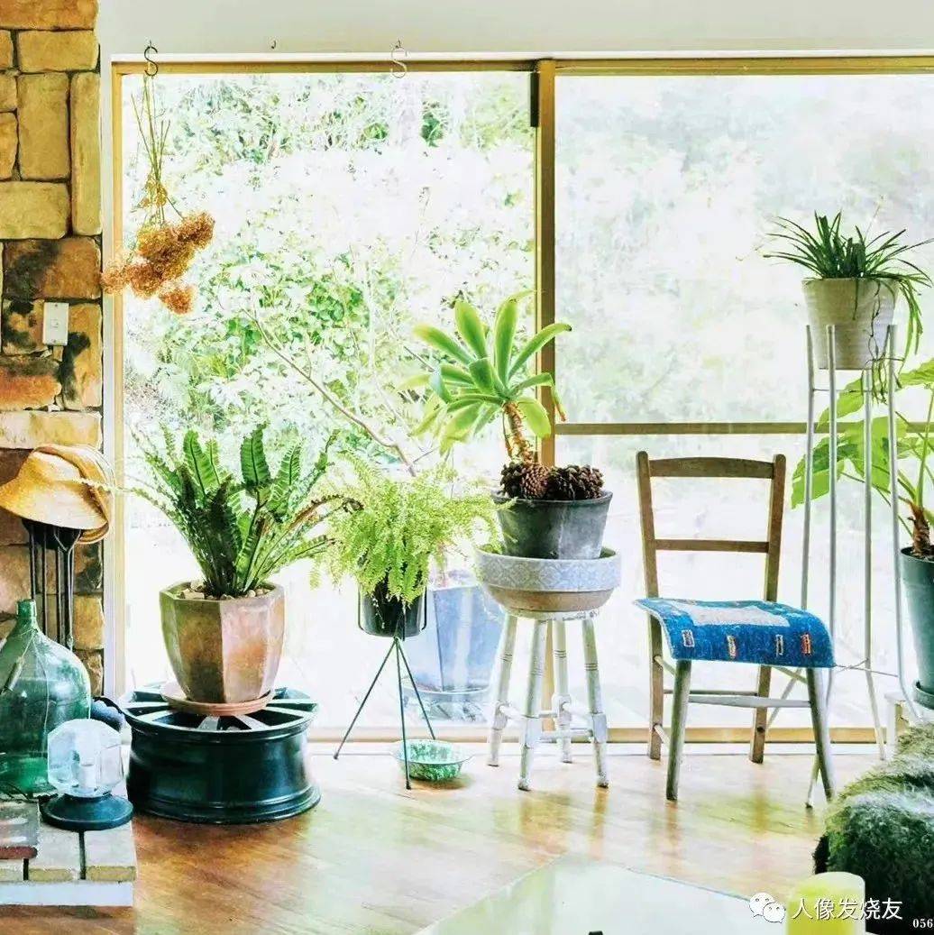 宅野杂志专栏：PREMIUM 7月 关于家居_到货_预定_画册