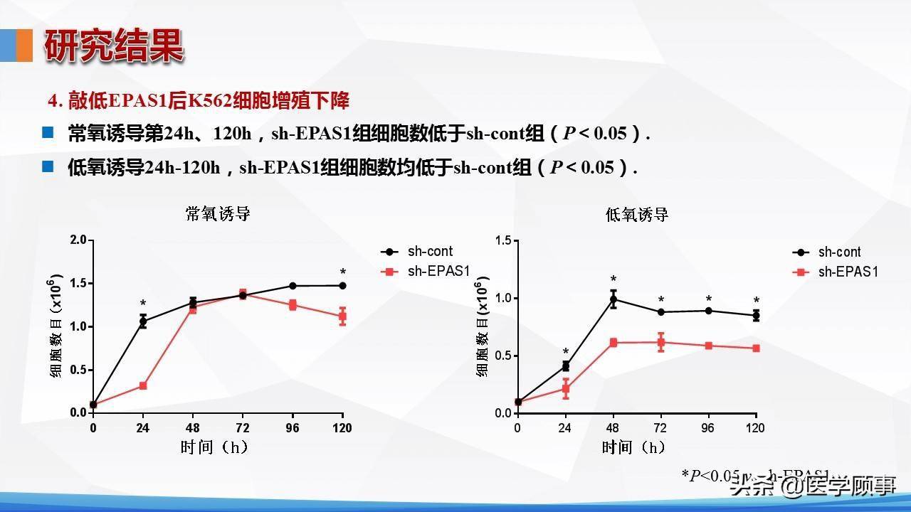 低氧条件下EPAS1调控K562细胞系红系分化的作用研究_因子_诱导_环境