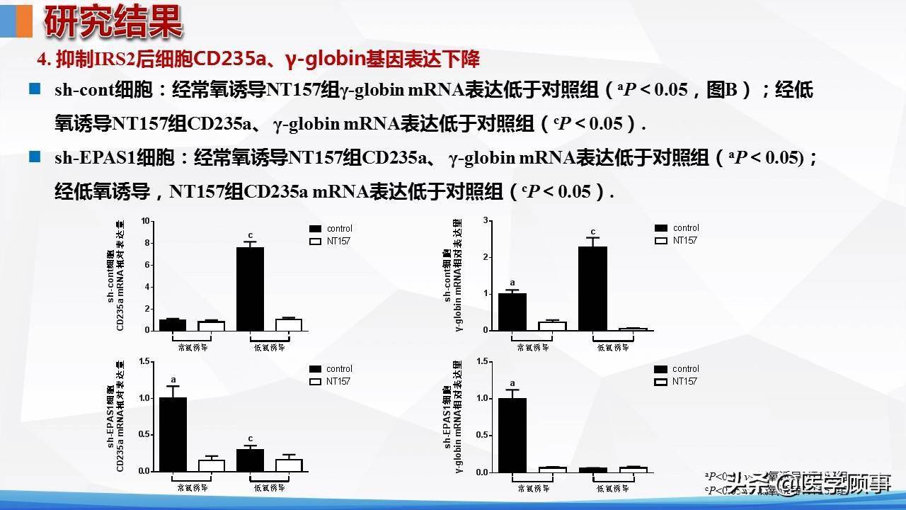 低氧条件下EPAS1调控K562细胞系红系分化的作用研究_因子_诱导_环境