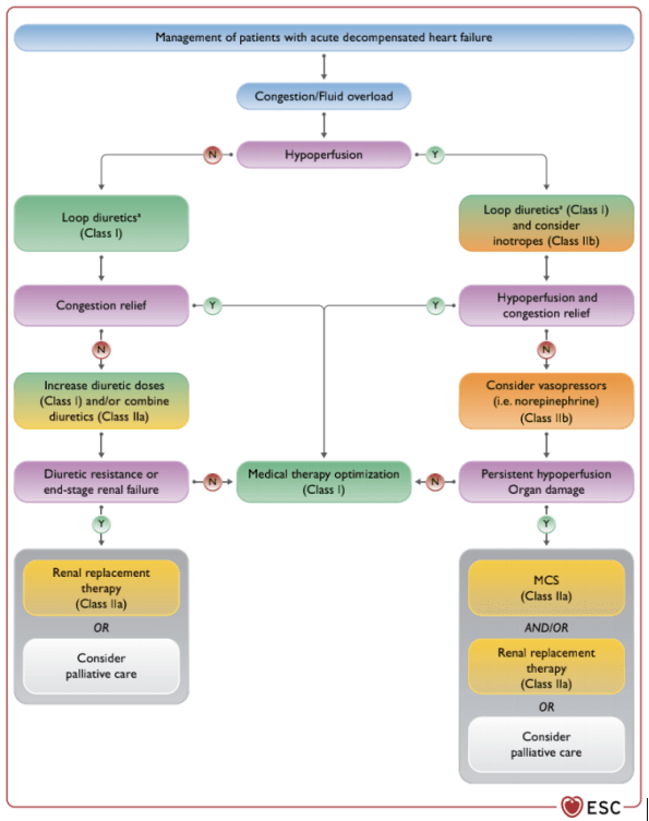 李广平教授：心力衰竭的分型和处理 | OCC 2022_诊断_利尿剂_HFmrEF