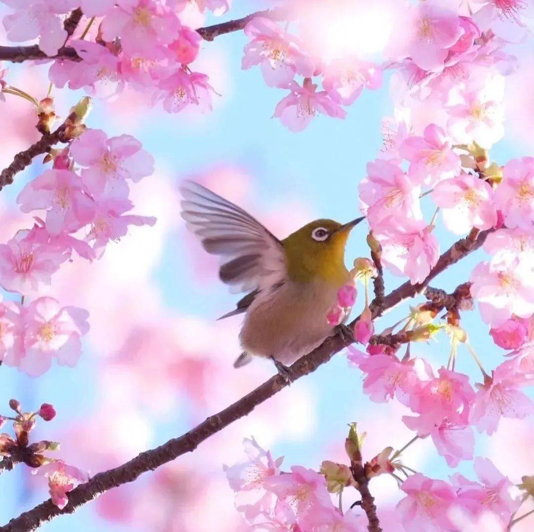心 事(写的真好)人生qdrs无心