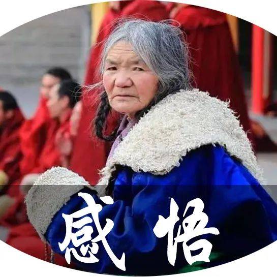 人最大的教养，是原谅父母的不完美。相恨世界子女