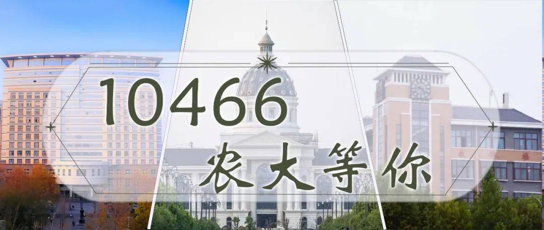 明天开始，10466，10466，10466！_数字_密码_晓晓