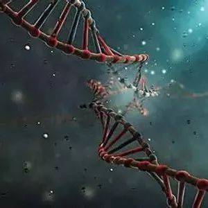 Sci Adv | 单碱基分辨率绘制氧化性DNA损伤图谱，揭示8-oxo-G与2种癌症突变特征的一致性_研究_细胞信号_氧化