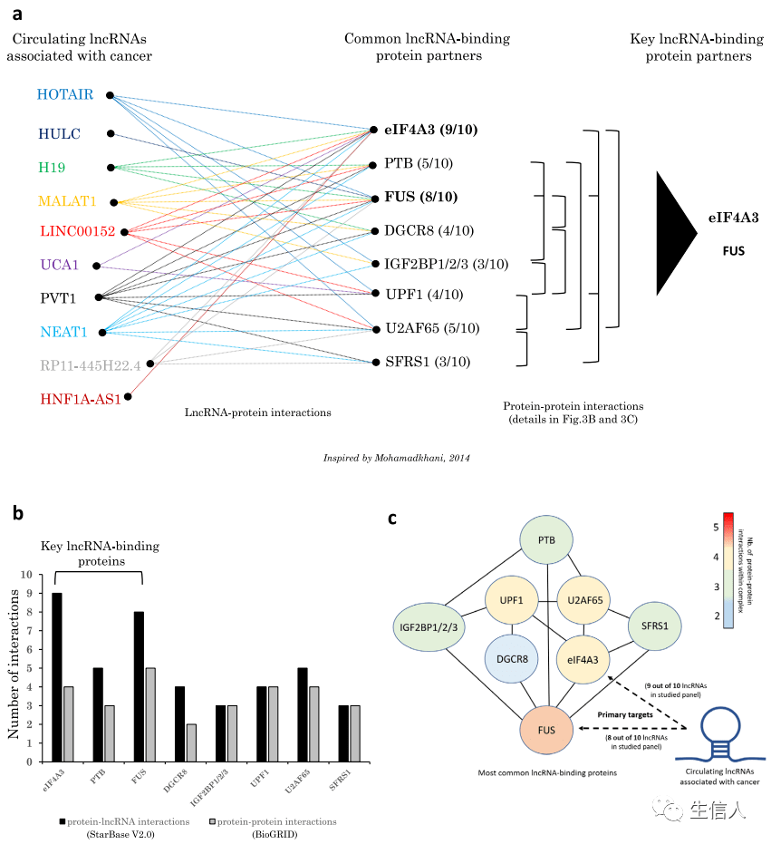 lncRNA作为癌症诊断的生物标志物：进展、挑战及其潜在的临床应用_循环_血液_lncRNA