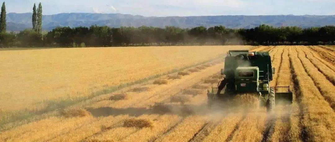 惨烈！禁用化肥农药后！国家破产，总统辞职！这个国家、彻底乱套了！_进口_有机肥_农业部