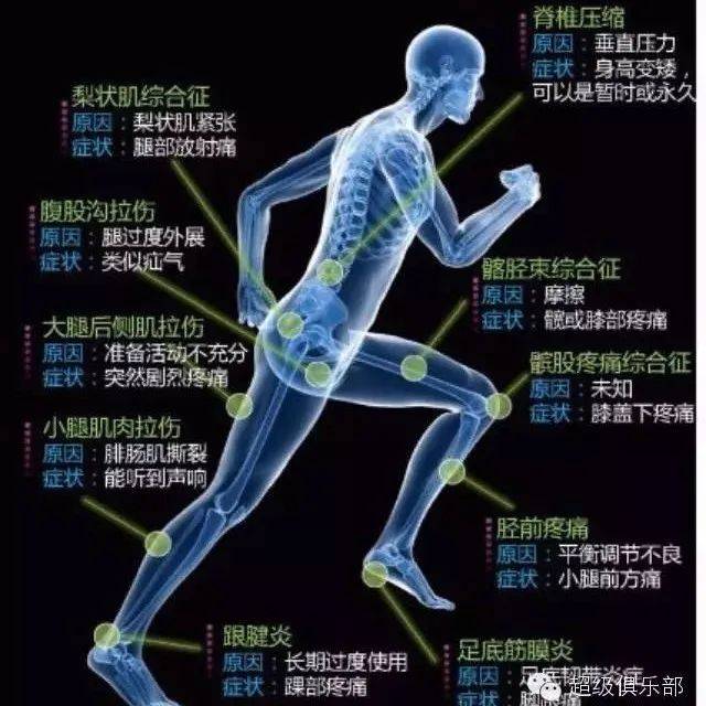 你想要跑步姿势，跑步技巧，齐全了！_身体_躯干_小腿