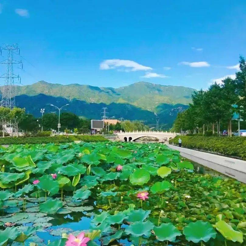 今日大暑 心有所 暑”，乐享学车节气暑热暑气