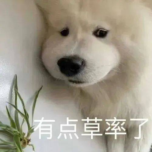 拟录取分数240分以上的11所全日制MPAcc考生高校_院校_复试_上岸