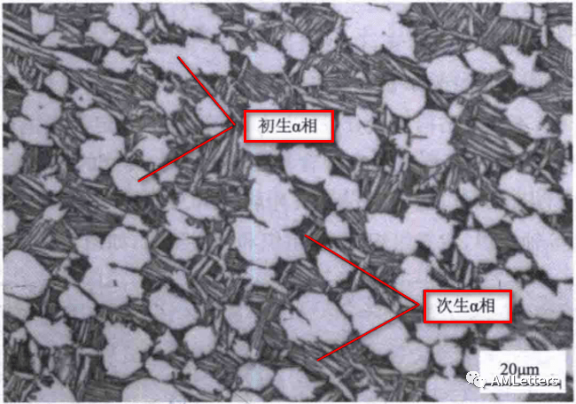 增材制造：钛合金的组织演化规律浅析_形态_混合物_晶粒