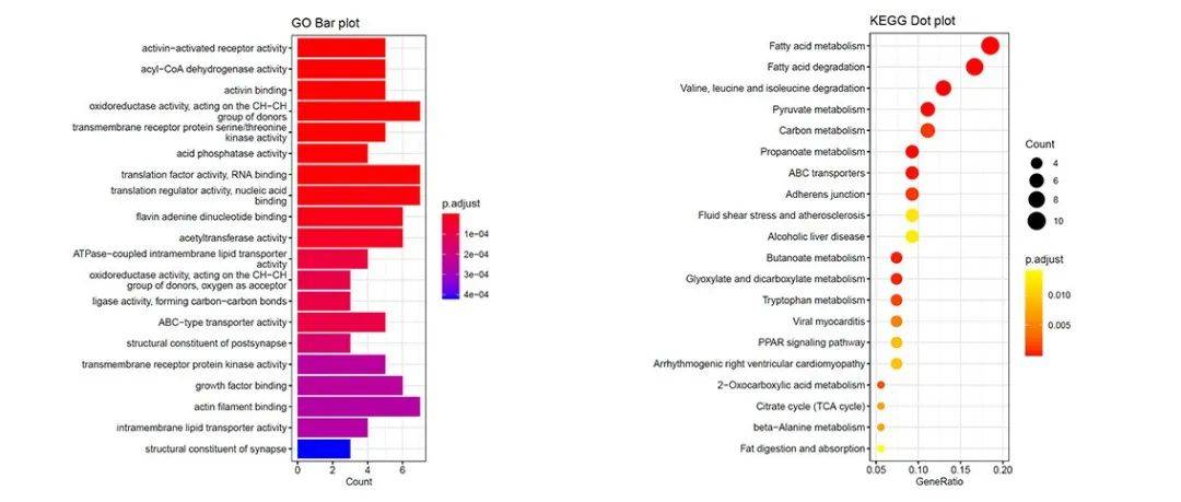 基因功能注释包下载、制作与富集分析_ggplot_kegg_db