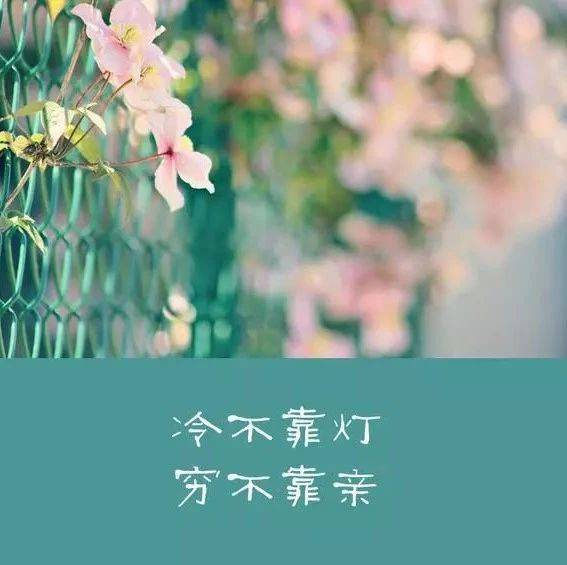 有钱说话才有底气！路靠深山远亲