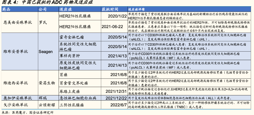 明星药物DS-8201再获批重磅肺癌适应症，ADC已成中国创新药市场竞争焦点 | 见智研究_临床_患者_产品