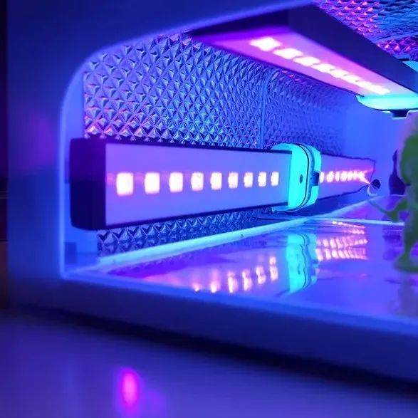 最新资讯丨2022年8月10日美国能源部DOE报告检查当前商用UV LED的状态！_and_测试_产品