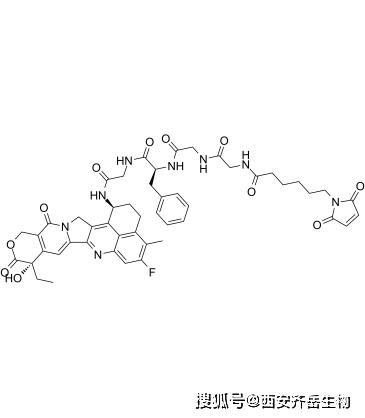 ADC小分子：MC-vc-PAB-MMAE，MC-GGFG-DX8951，MA-PEG4-VA-PBD 抗体偶联物_毒素_药物_用途