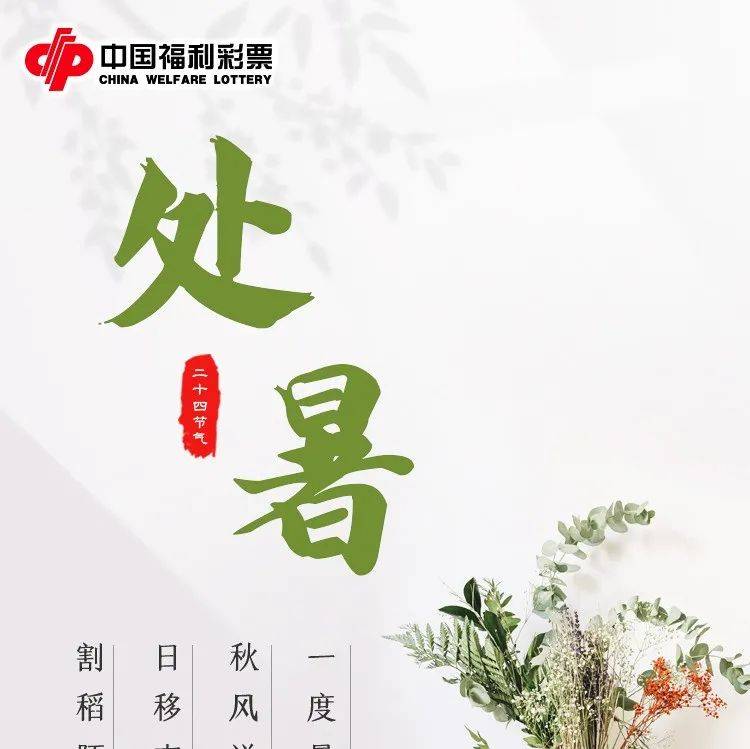 【处暑】暑气止,公益不止节气万物夏入清