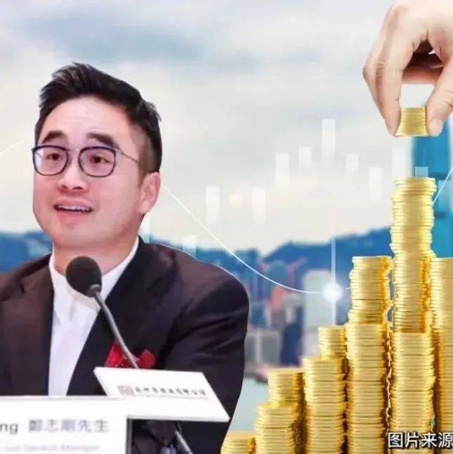 新世界副主席郑志刚：楼市已见底12个月内投100亿元拿地丨公司内地投资集团