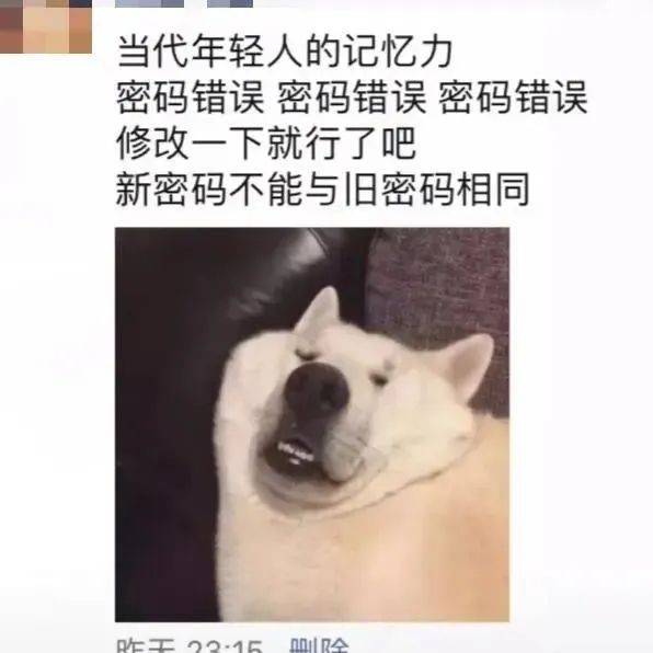 今日份沙雕图