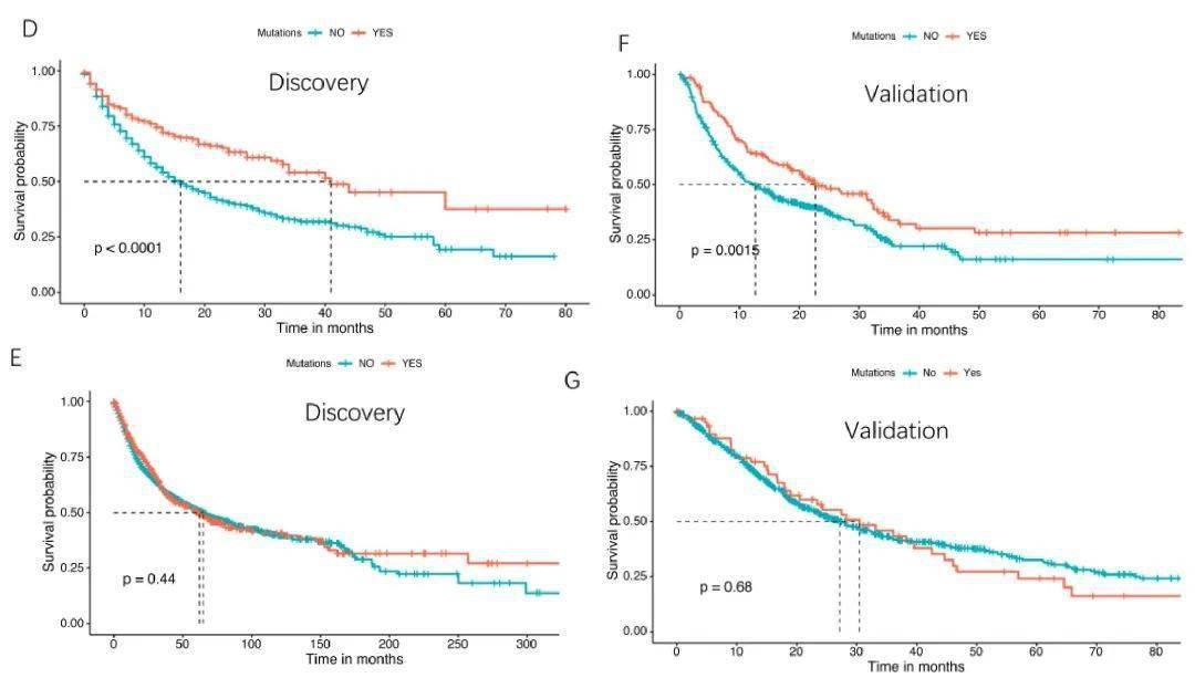 mTOR通路基因突变预测多种癌症对免疫检查 点抑制剂的反应_治疗_患者_特征