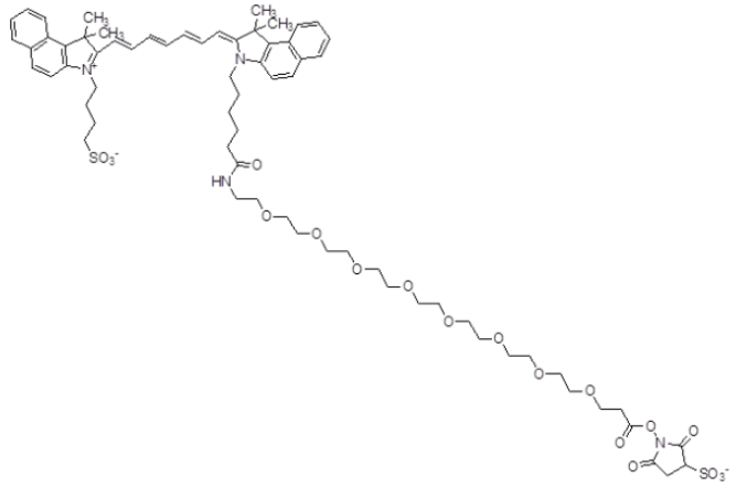 吲哚菁绿（ICG）一种近红外I区荧光染料_组织_肿瘤_nm