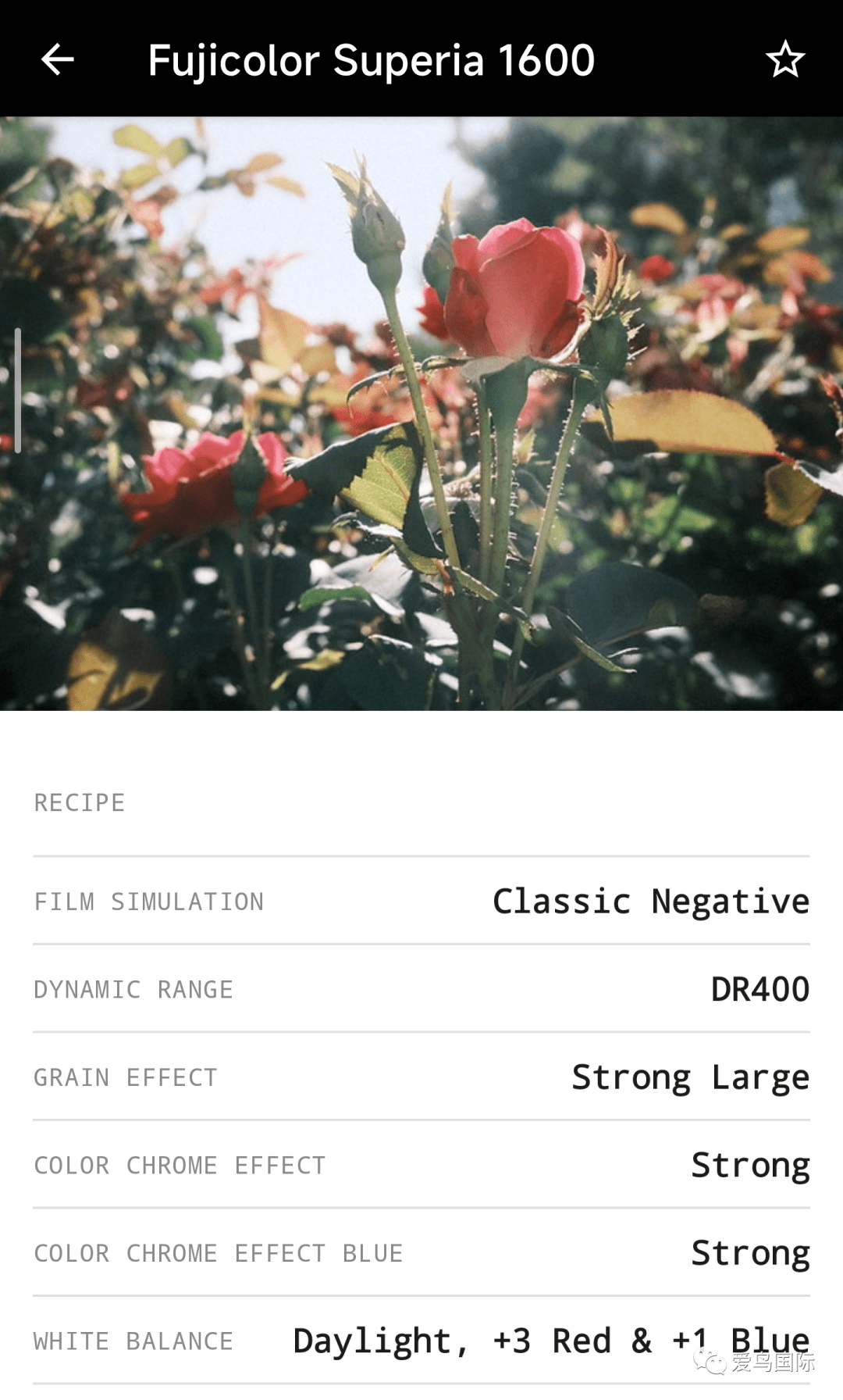 富士X-H2S拍鸟评测：手持拍一整天都不累，回家还不用做后期_mmF_负片_电池