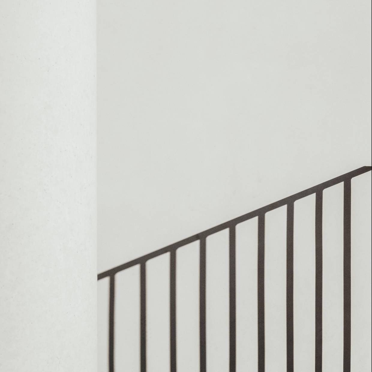 此情有关风与月——苏州沧浪亭_园林_苏舜钦_湖心亭