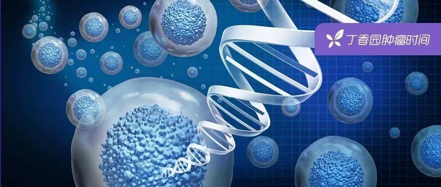 下一个风口？KRAS G12D 突变 NSCLC 有啥特征？这篇给你分析全！_患者_细胞_研究